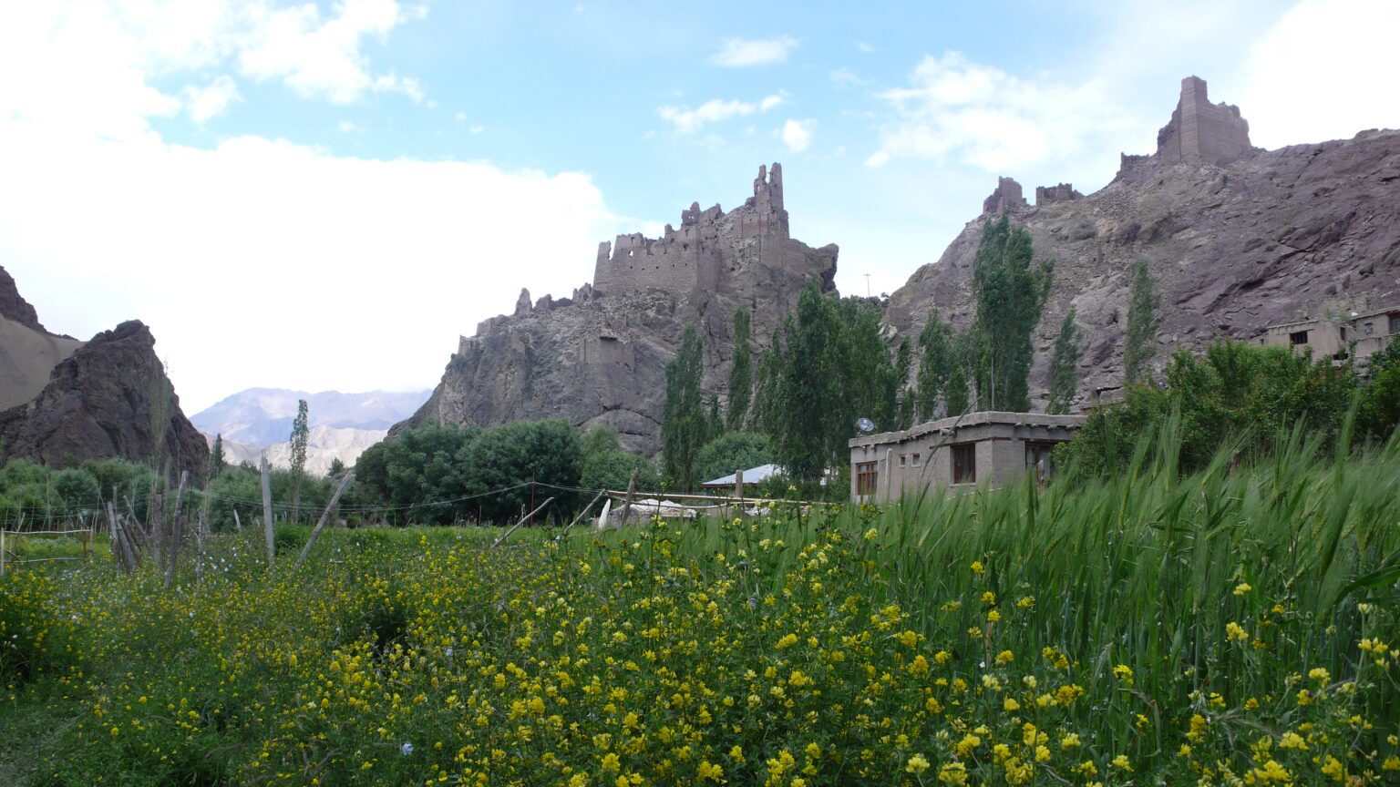 Chiktan Village: Discovering The Enchanting Tapestry Of Northern India ...