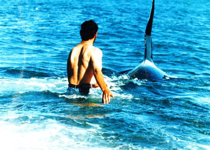 Nature's Miraculous Harmony: Unleashing The Radiant Transformation With ...