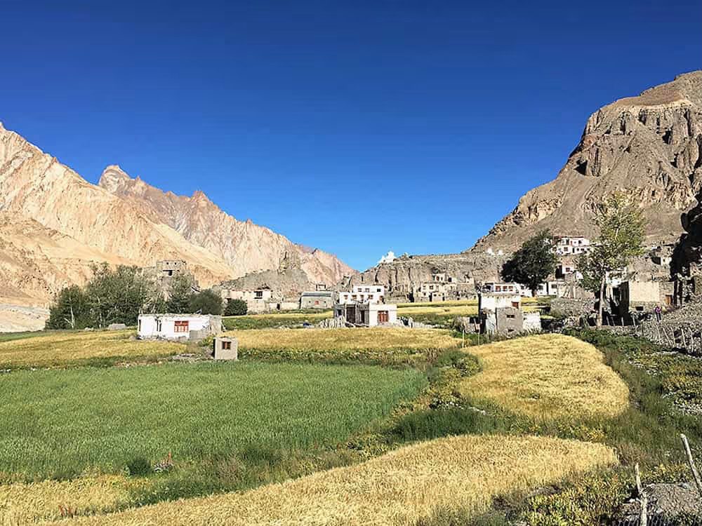 Rumbak Valley Guide: Trekking, Snow Leopards, And Homestays | LIFE On ...